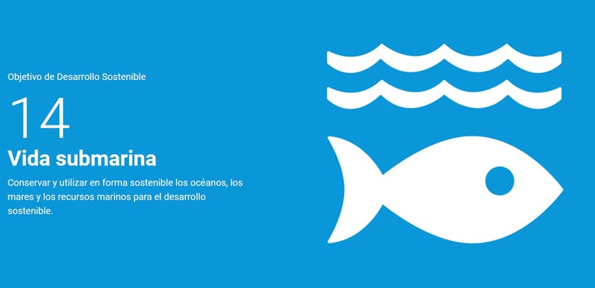 Metas del objetivo 14 de la ONU – Revista Maritima y Portuaria